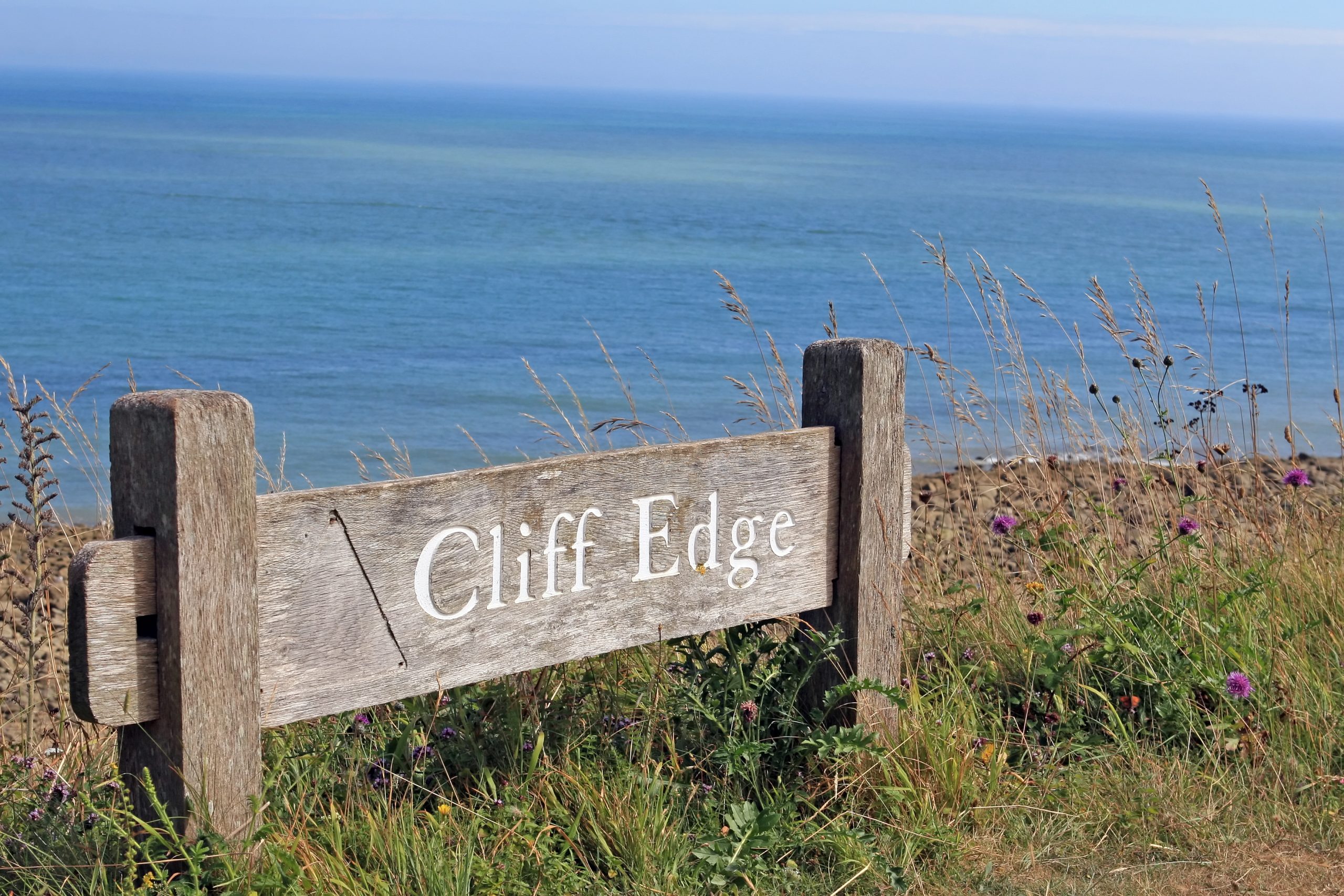Democracy at the Cliff Edge - 99%